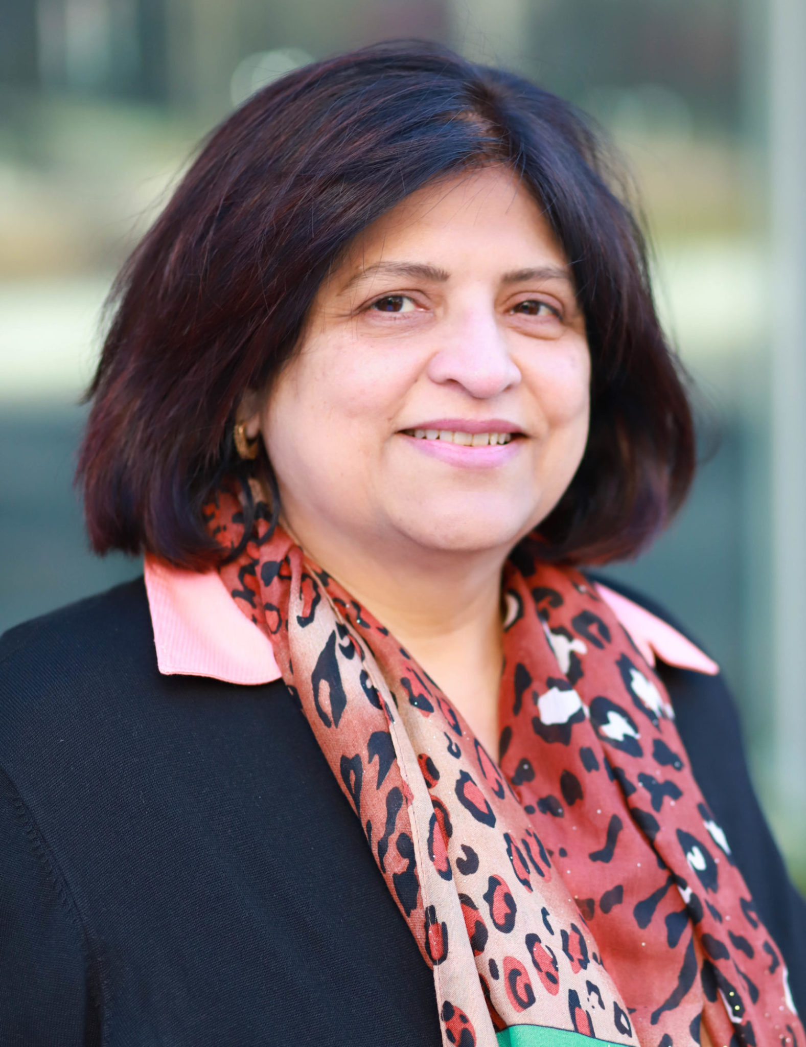 Seema Gahlaut • Stimson Center