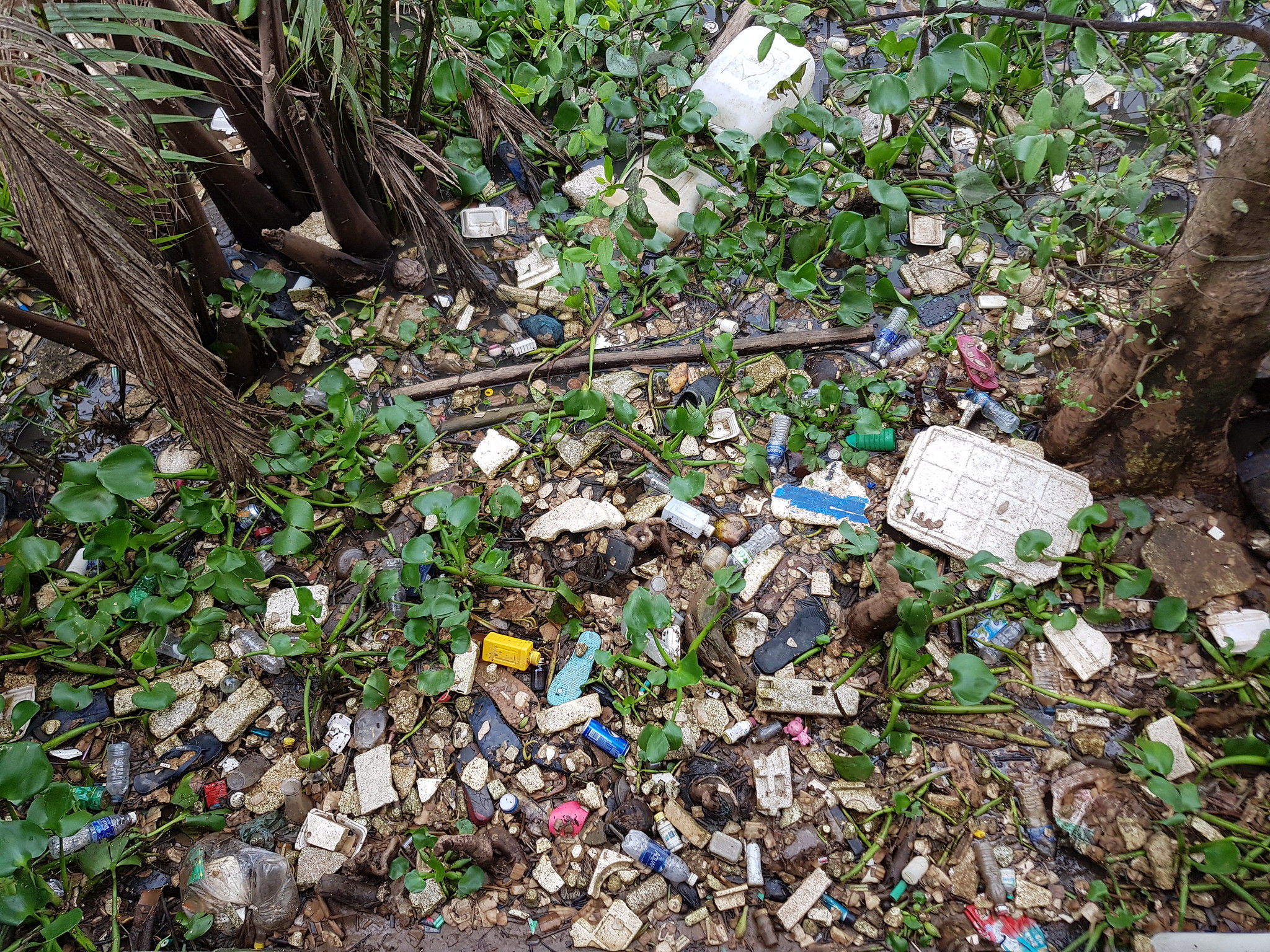 Mekong Water Data Hour: Plastic Pollution • Stimson Center